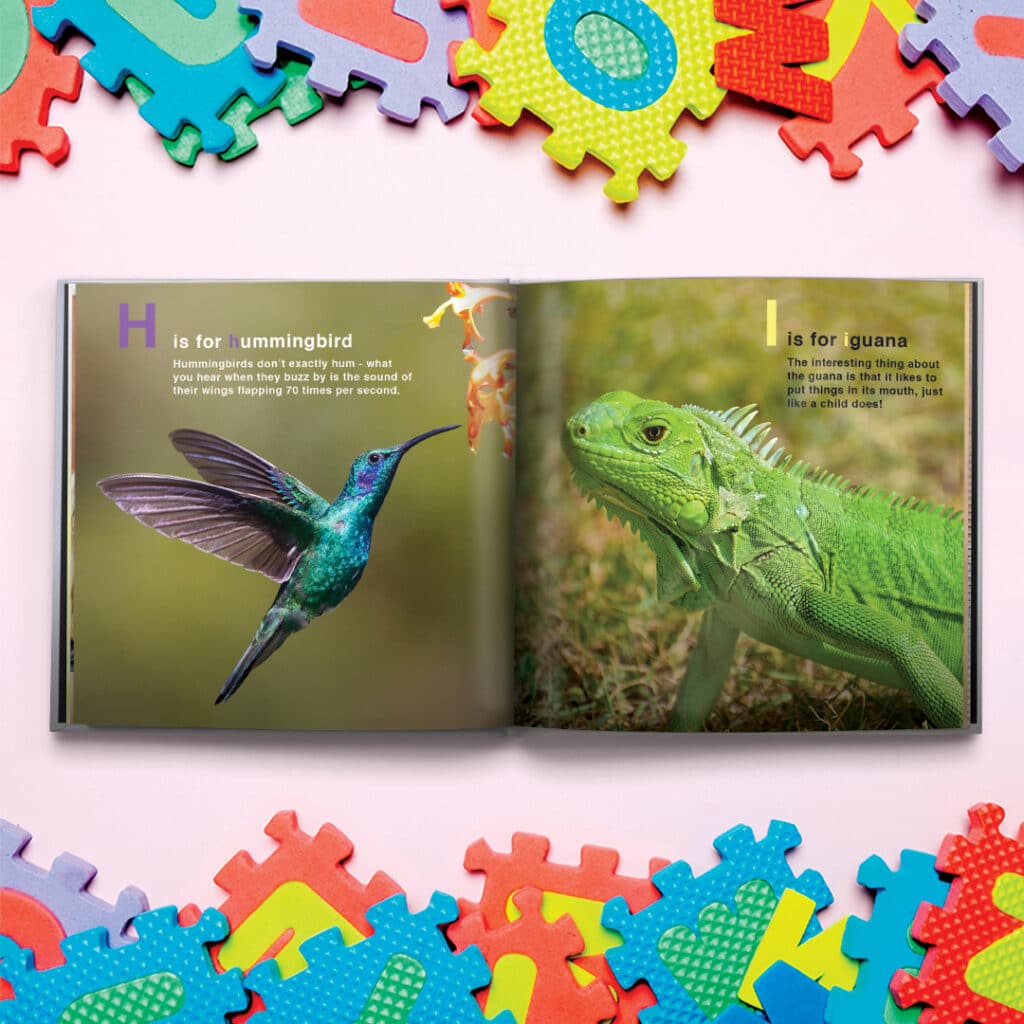 Inspiring Ideas For Your Next Photo Book | Snapfish