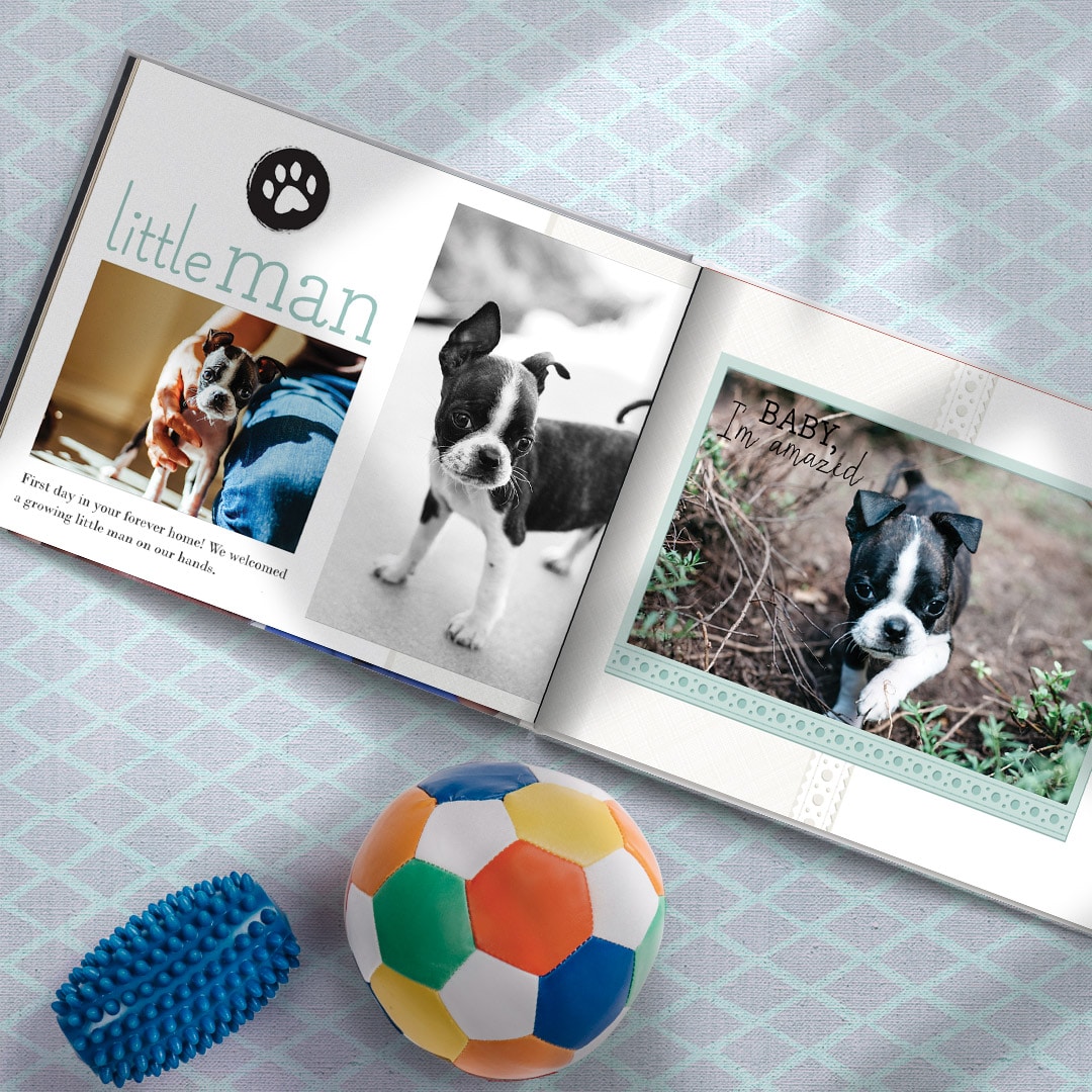 Ideas for creating pawsome Pet Photo Books | Snapfish US