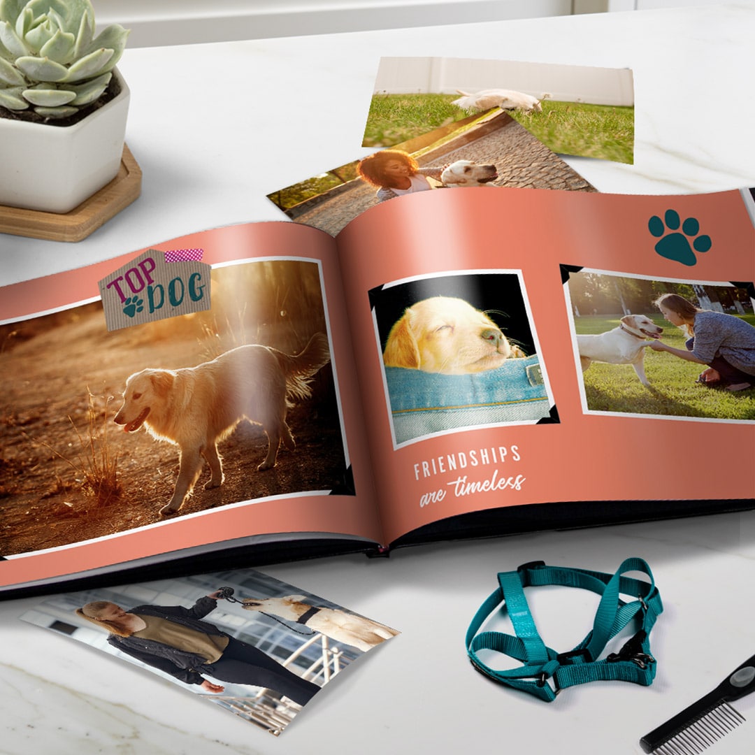Ideas for creating pawsome Pet Photo Books | Snapfish US