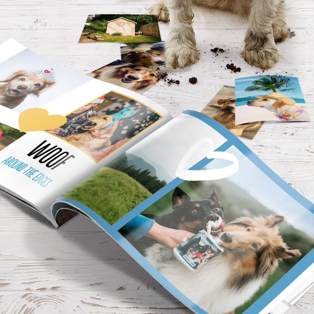 Ideas for creating pawsome Pet Photo Books | Snapfish US