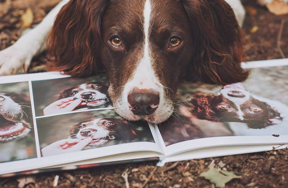 Ideas for creating pawsome Pet Photo Books | Snapfish US