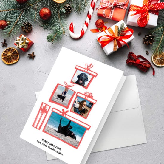 Creative Tips for Pet-Themed Holiday Cards | Snapfish US