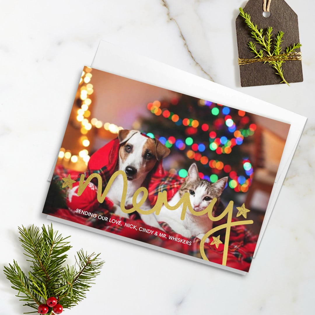 Creative Tips for Pet-Themed Holiday Cards | Snapfish US