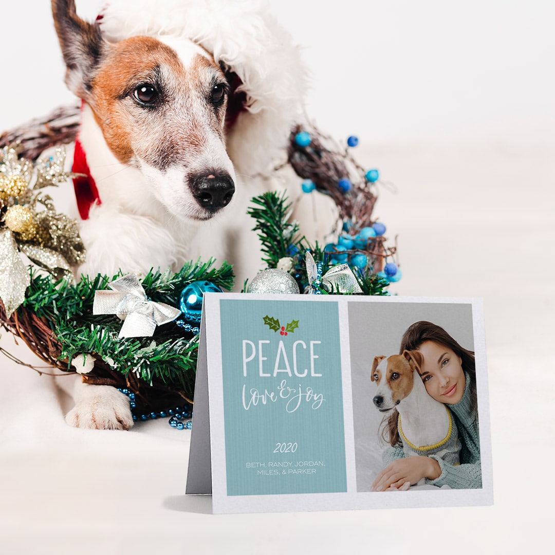 Creative Tips for Pet-Themed Holiday Cards | Snapfish US