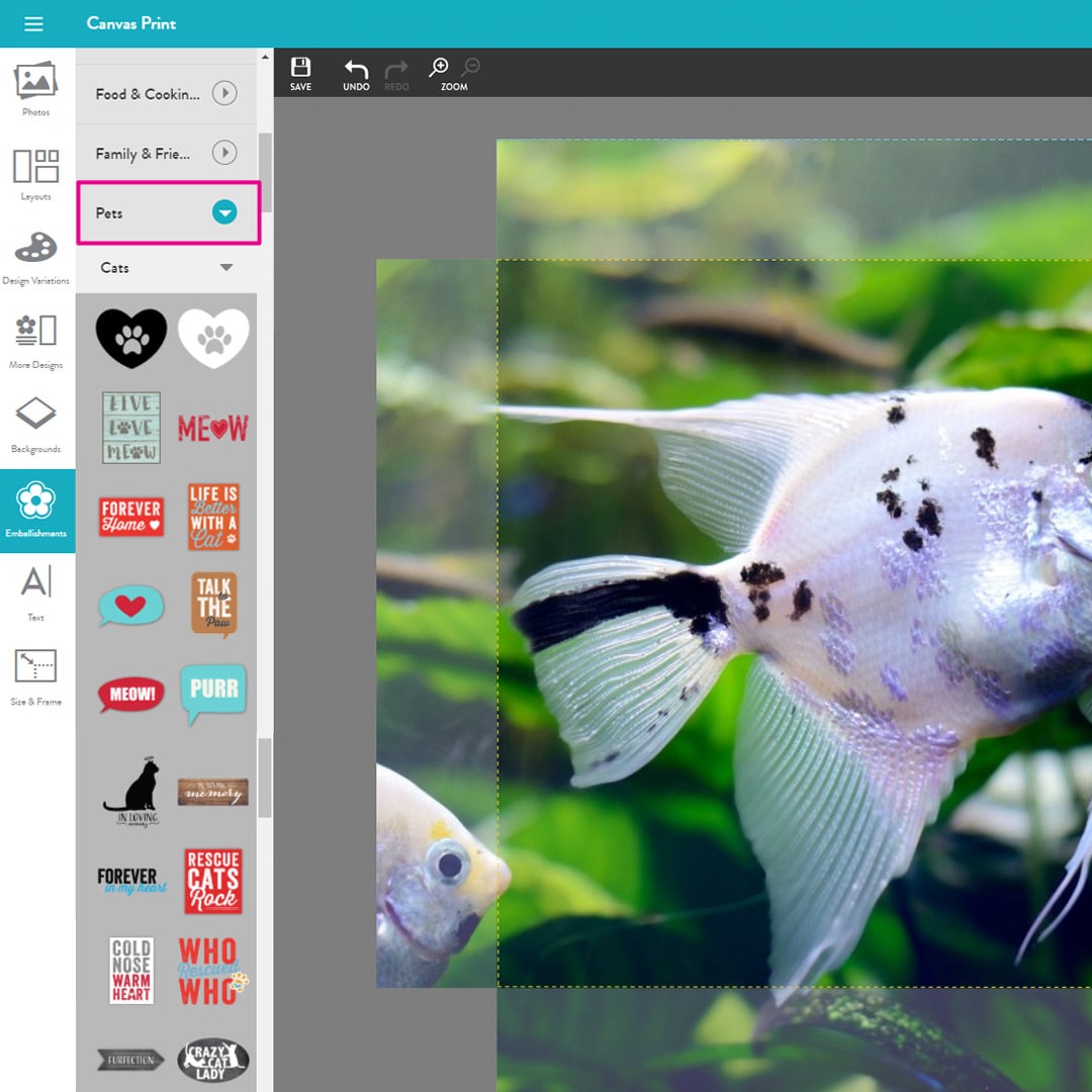 Customisable Embellishments for Pet Parent Presents | Snapfish US