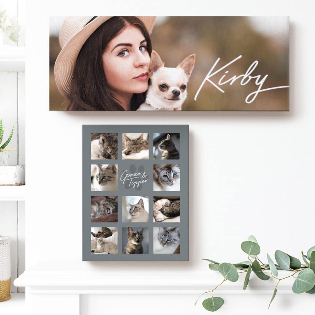 New Canvas Photo Print Designs | Snapfish US
