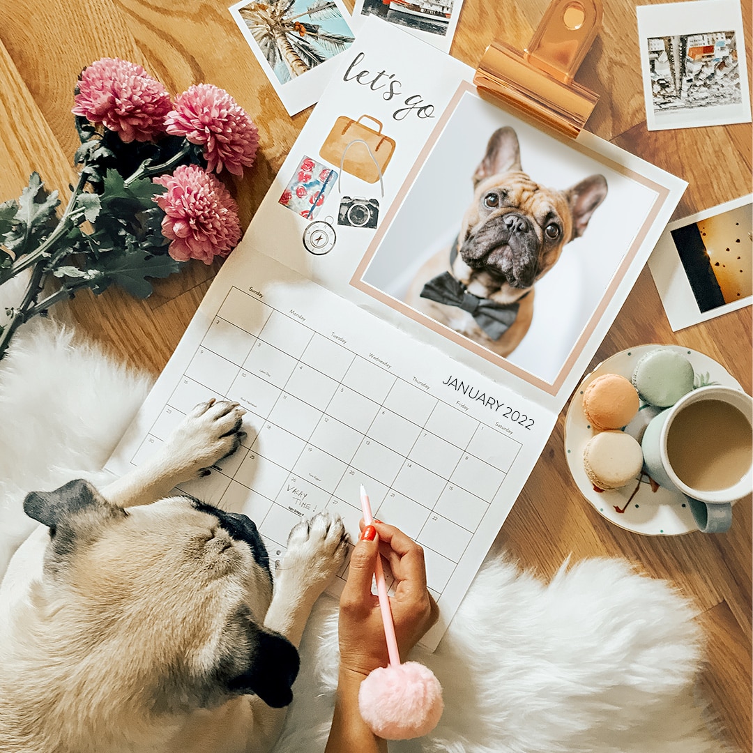 Show Pets Some Love With Fun Photo Gifts | Snapfish US