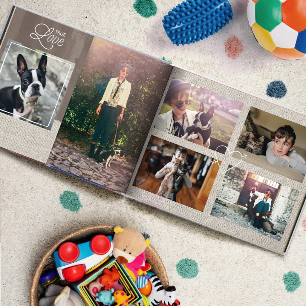 Show Pets Some Love With Fun Photo Gifts | Snapfish US